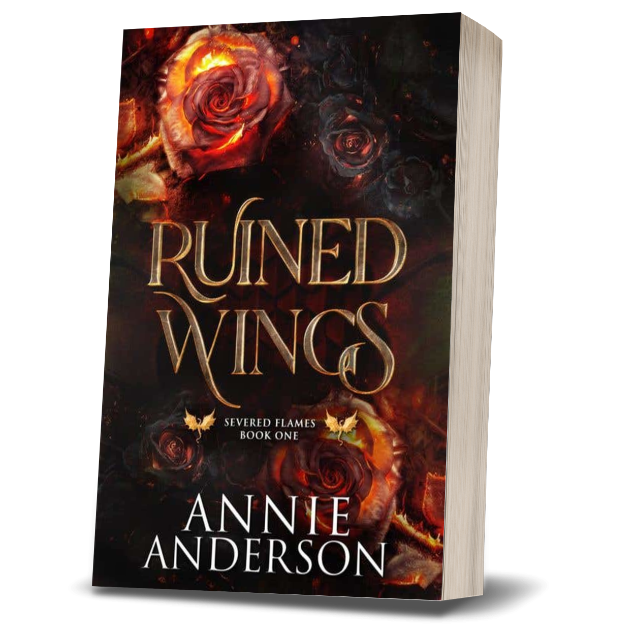 Ruined Wings – Annie Anderson Store